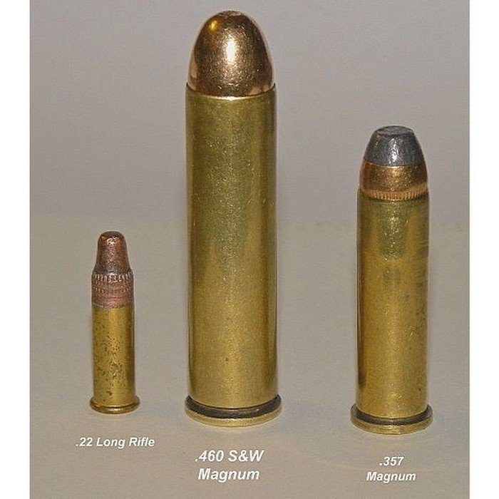  460 S W Magnum 